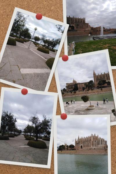 City Haven Palma - Palma