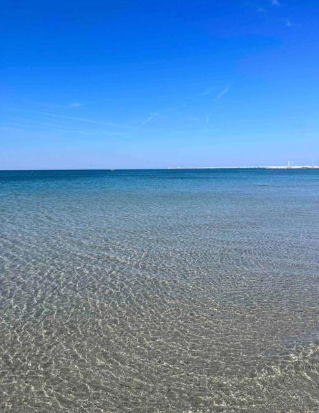 Rifugio Sul Mare - Rosignano Marittimo