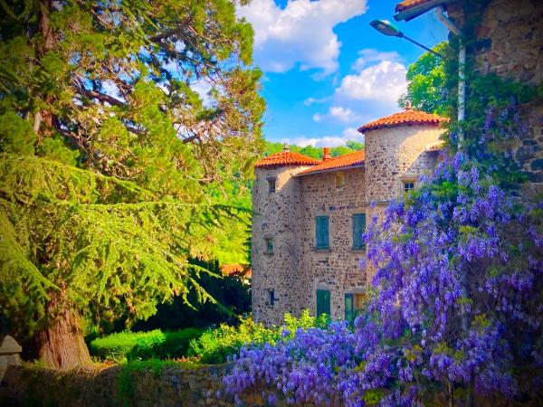 Chateau De Durianne - Le Puy-en-Velay