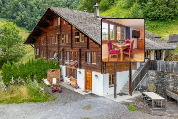 Cozy Studio With Terrace Bbq Mountain View - Meiringen