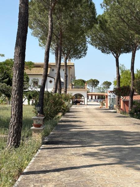 Masseria I Pini - Lucera