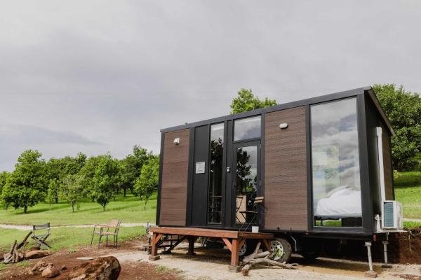 8 Farm Macadamia Plantation 1 By Tiny Away - Ballina