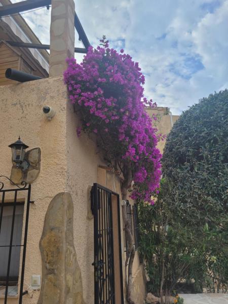 Casa Esperanza - Benitachell