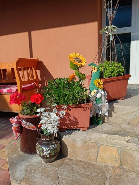 Hársfa Apartman - Makó