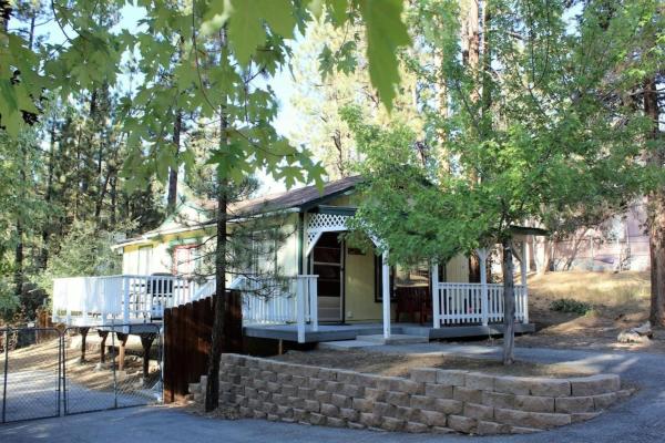 Sugar Bear - Big Bear, CA