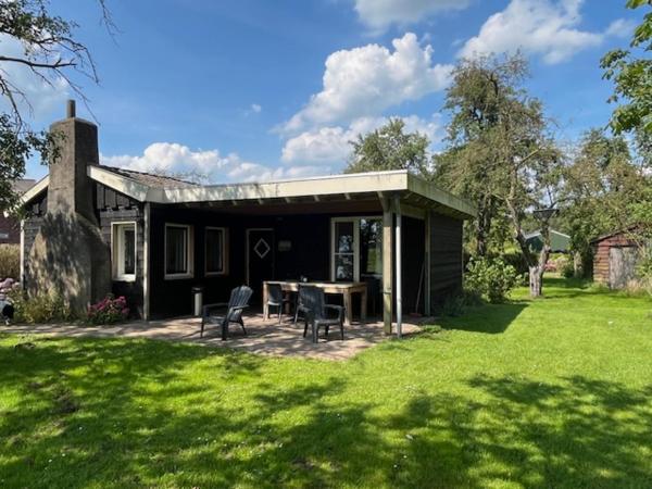 Steenuil - Gelderland