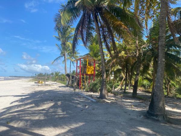 Temporada Ilhéus Cobertura - Ilhéus