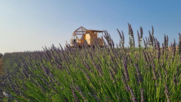 La Bulle Ico - Valensole