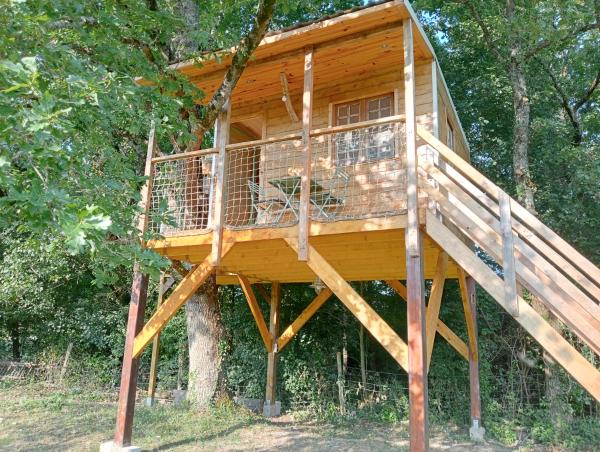 Cabane Perchée Et Le Chêne - Tours