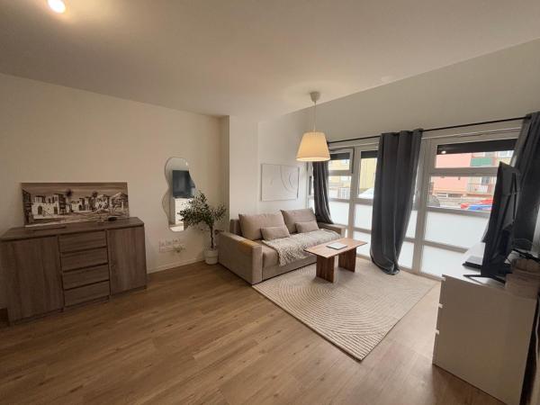 Studio Lumineux 45m2 - Annemasse