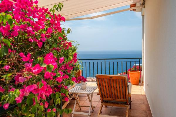 New Portola House By Ymr - Madeira