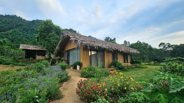 Sao Farmstay - Ha Giang