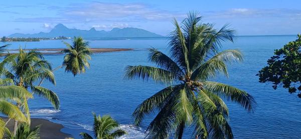 Matavai View - Premium Oceanfront Suite - Piscine - Vue Mer - Tahiti