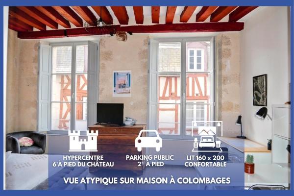 La Demeure De Beauvoir - Confort & Authenticité - Blois
