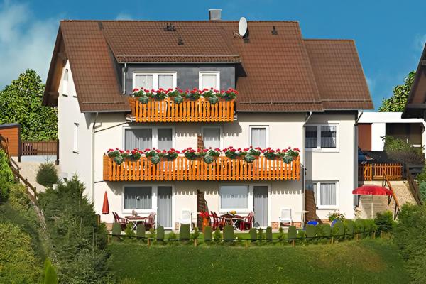 Haus Nietmann Kleine Gemütliche Ferienwohnung Mit Modernen Akzenten - Harz
