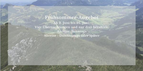 Garni Hotel Wildanger - Nesselwang