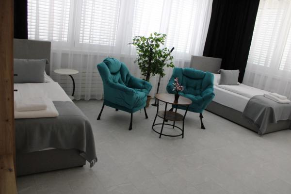 Résidence Appartment Gebenstorf - シュヴァルツヴァルト