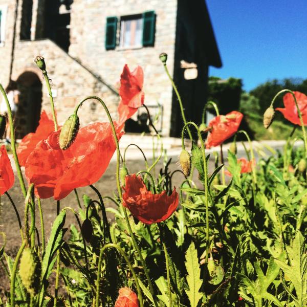 Agriturismo Angiò Nel Cerè - Italy