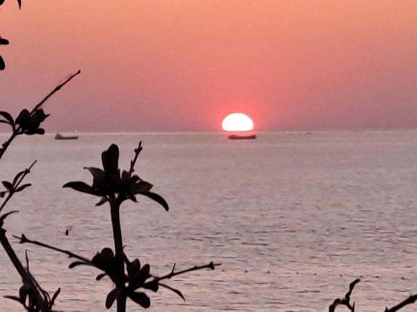 Paradise Rooftop Golem - Golem