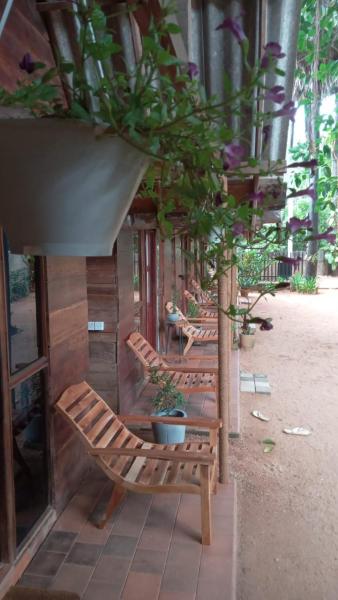 Cool Banyan Cabana - Sri Lanka