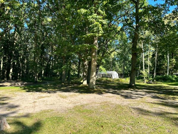 Womo Stellplatz Am Ferienpark Bernstein - Rügen