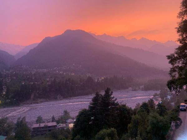 The Viiew Hotel - Manali