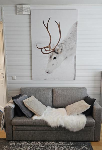 Outapailakka K18 - Saariselkä