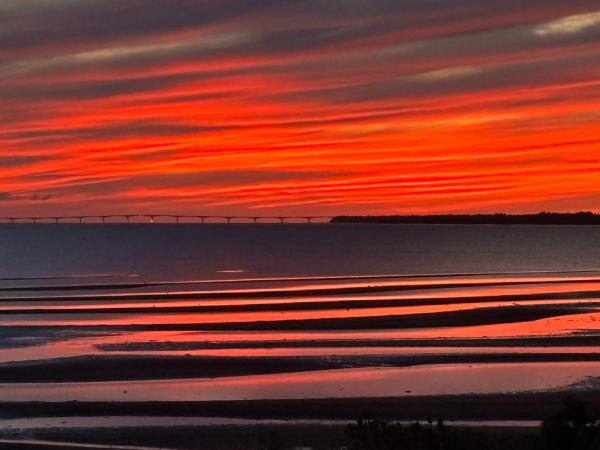 Blue Spruces Cottages - Prince Edward Island