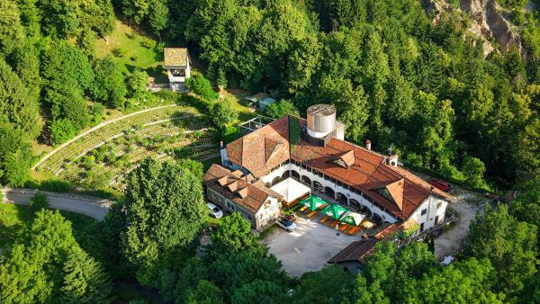 La Polse Di San Pieri - Arta Terme