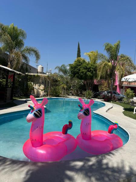 Hotel Pink Th - Tehuacán