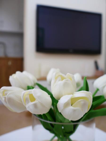 Fiora Apartment - Shkodër