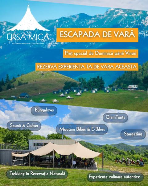 Ursa Mica Glamping Resort - Fundata