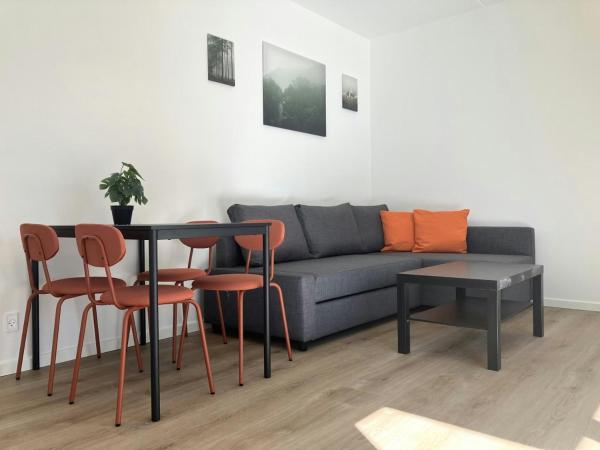Spacious Apartment For 3 - Odense