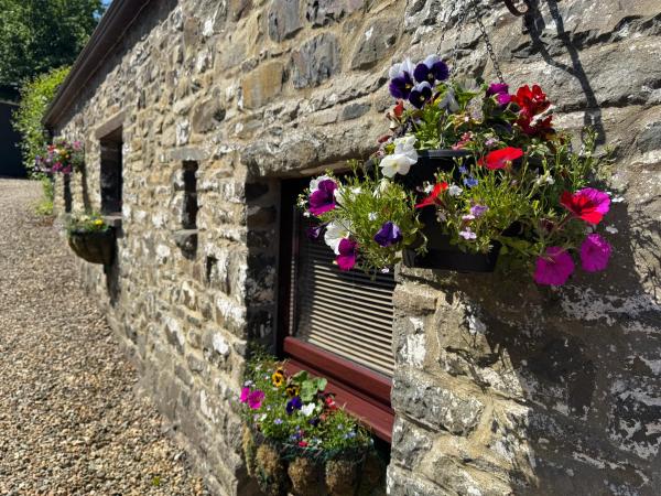 Nanternis Farm - New Quay