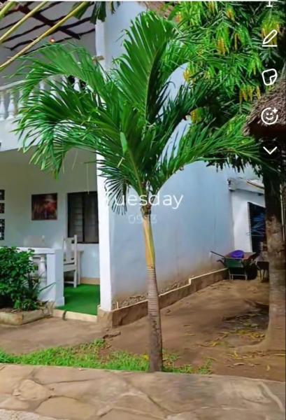Diani Haven Executive Studio - Diani Beach