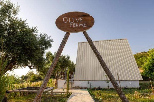 Olive Frame - Zakynthos