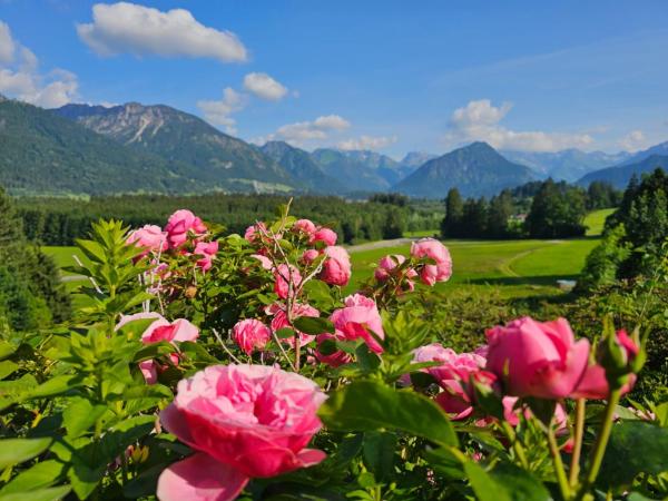 Berghof Mehlan - Kleinwalsertal