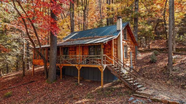 Buzzard Roost Cabin At Cabin Fever In Nc - Saluda, NC