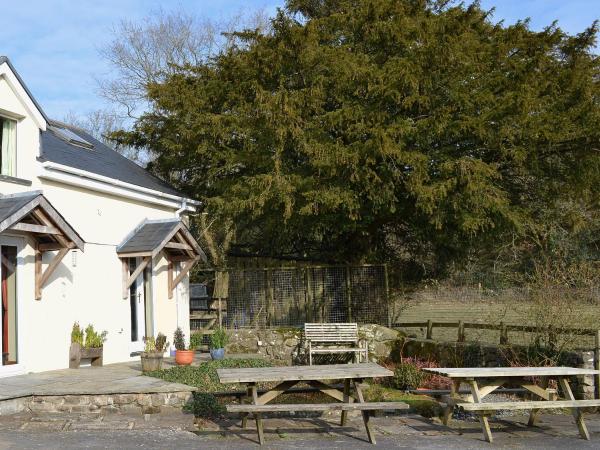 Ty Newydd Cottage - Carmarthenshire