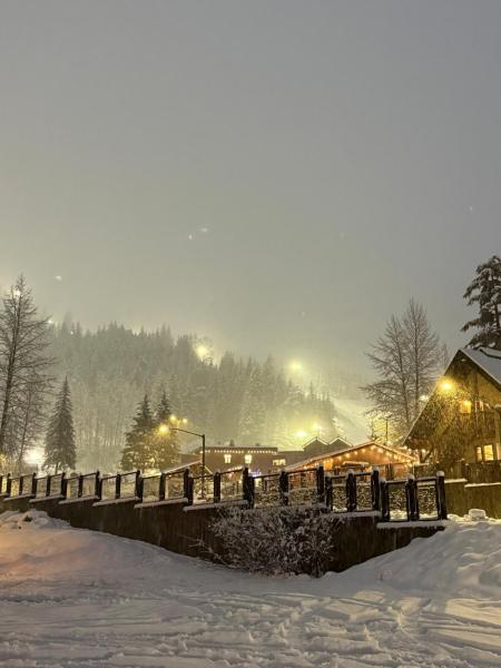 Alyeska Mountain Side Retreat! - Alyeska, AK