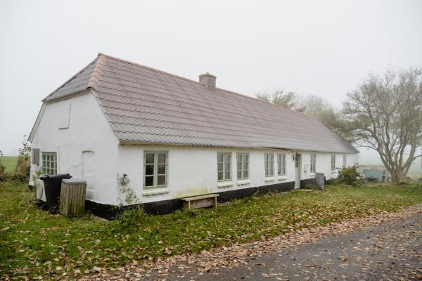 Cut Branches, Make Fire And Gaze At Treetops - Thisted