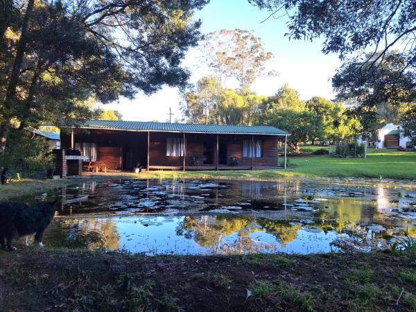 Plett Forest Cabins - South Africa