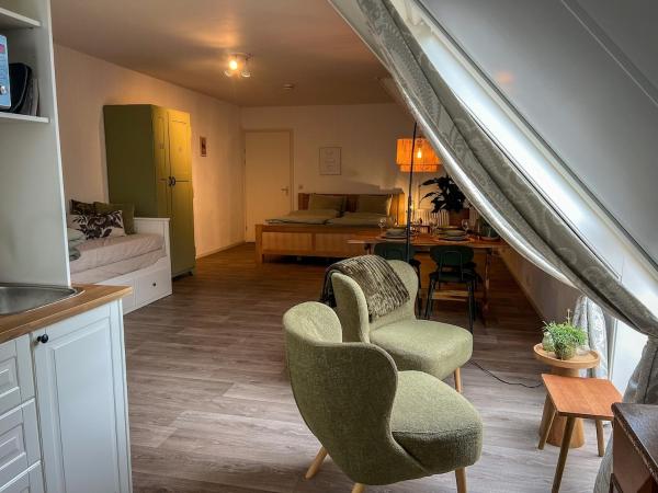 Studio Lodge De Groene Specht Bij Bolmeer Lodges - Groningen