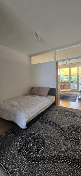 Apartamento En Ginebra, Suiza - Carouge