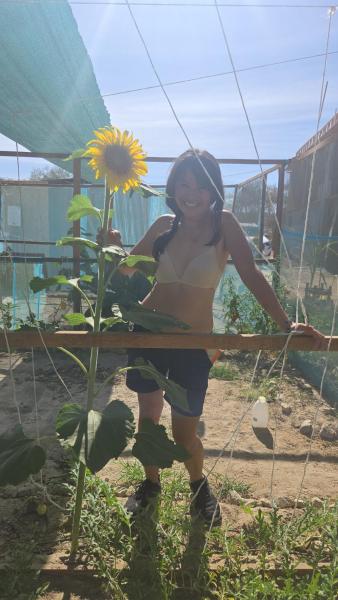 Hostel Con Huerta En La Montaña - San José del Cabo