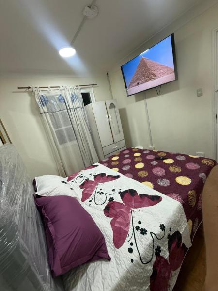 Hostelsurfshop - Providencia