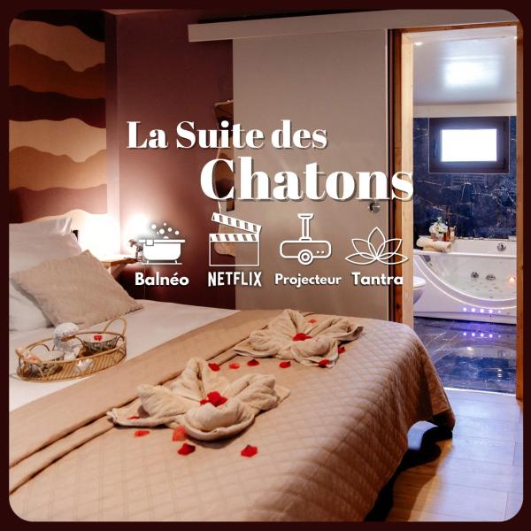 La Suite Romantique Des Chatons - Mimizan