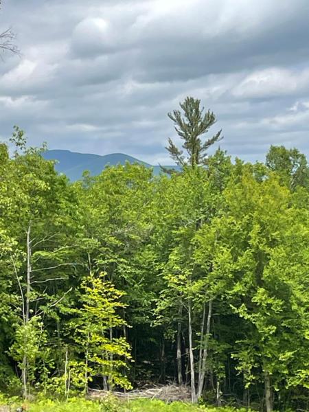 Hillside Hideaway - Maine