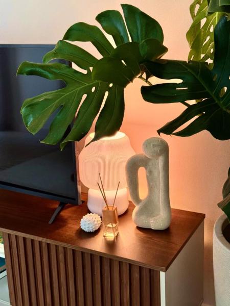 Apê 202 - Central E Moderno - 2q E 2b - Governador Valadares