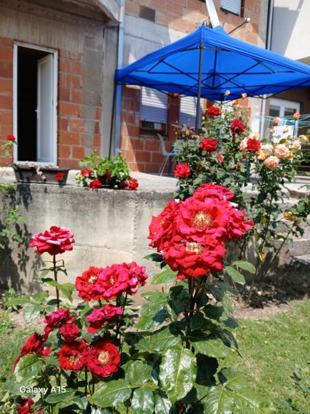 Bahar Apartment - Ohrid